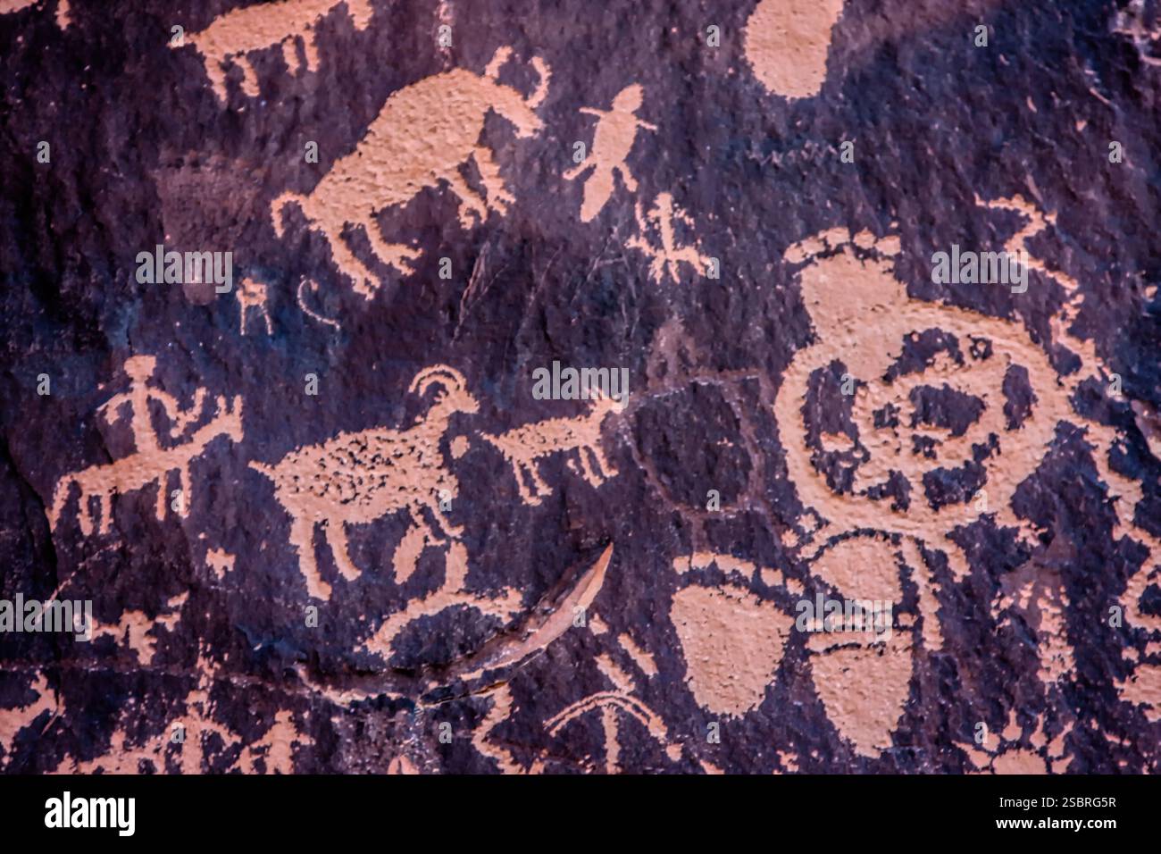 A rock with drawings of animals and people on it. The drawings are in ...