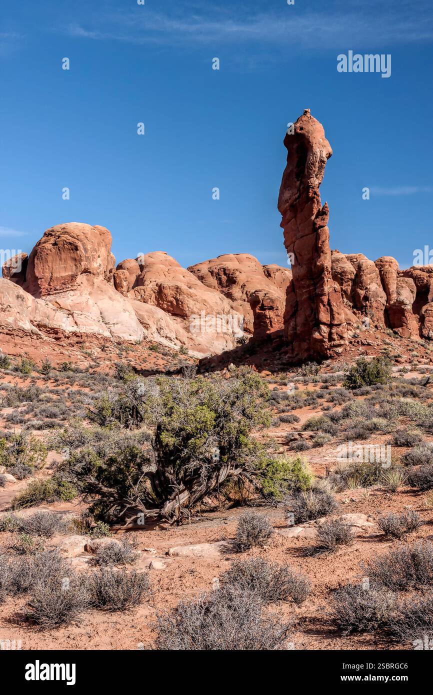A large rock formation in the desert. The rock is tall and has a ...
