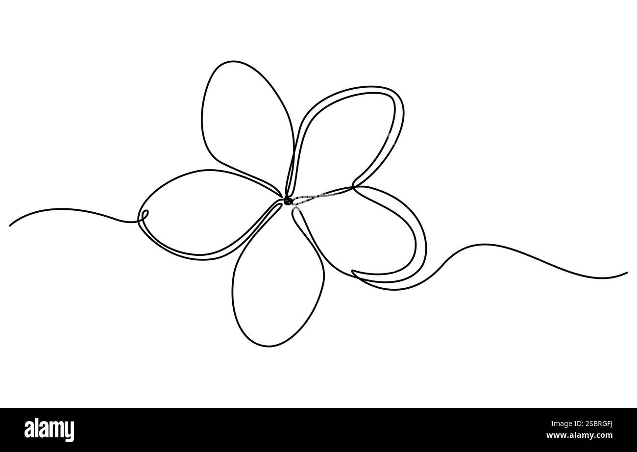 Plumeria flowers in continuous line art Stock Vector Image & Art - Alamy