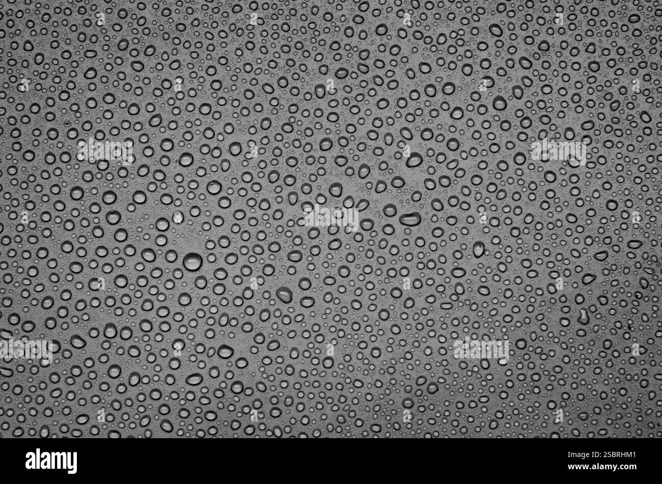 Top view of rain water droplets with black background. Suitable for ...