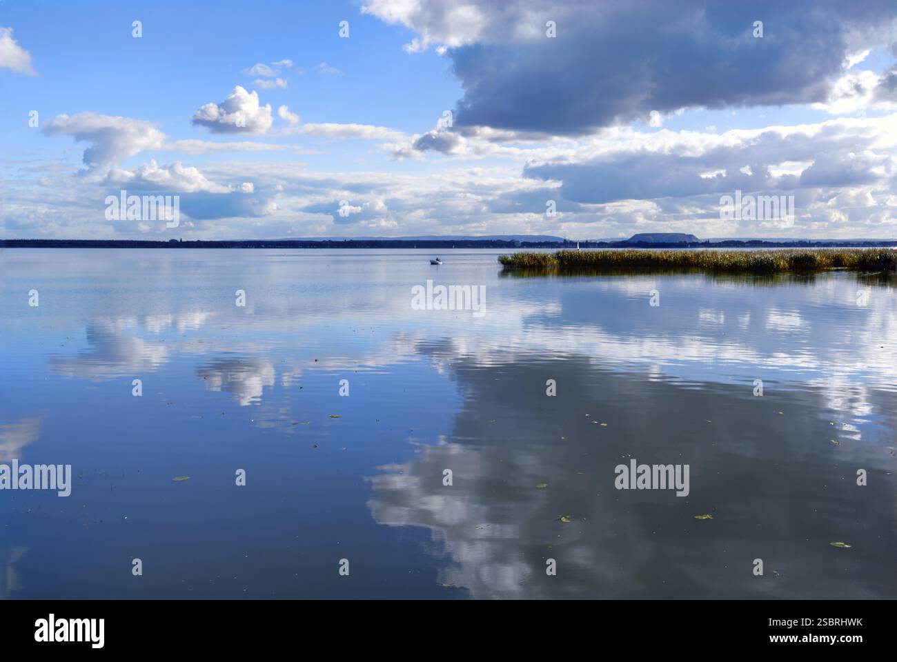 Images of Steinhuder Meer Lake showcasing its serene waters, lush ...