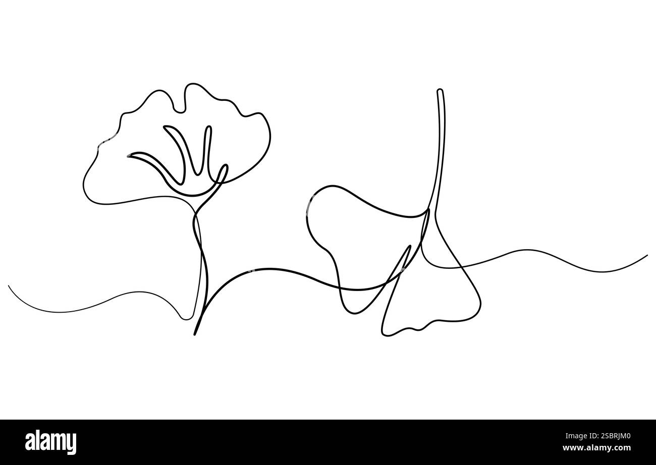 Ginkgo biloba Continuous one line drawing. Abstract botany minimalist ...
