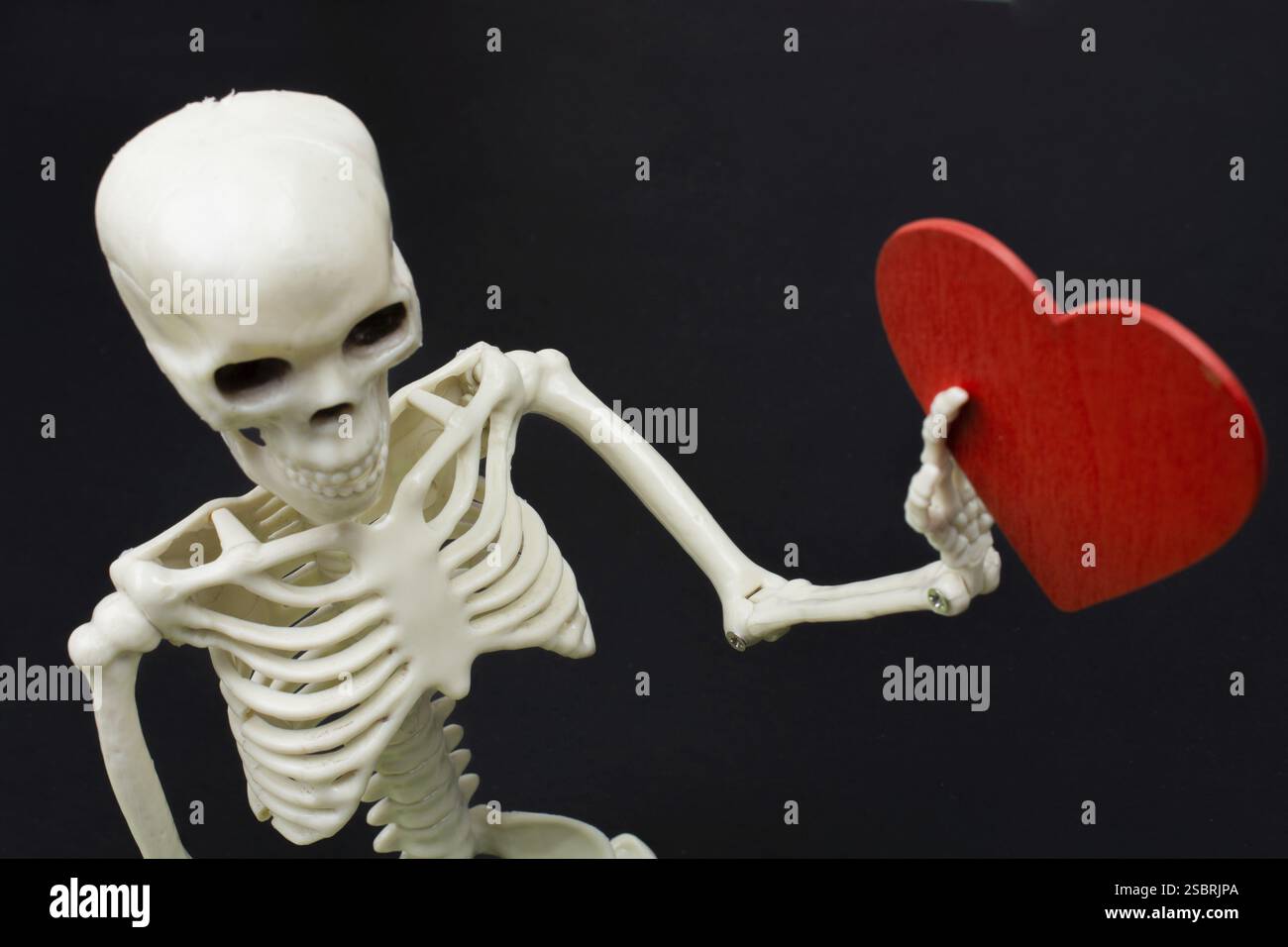 Artificial body skeleton with heart for love concept Stock Photo - Alamy