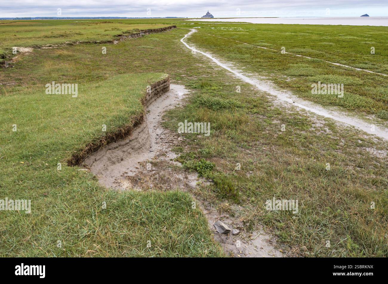 Low tide at the polders and salt marshes of the world heritage cloister ...