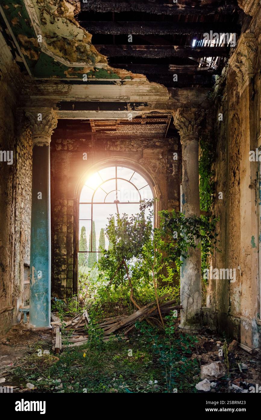 Ruined abandoned building overgrown by plants and moss Stock Photo - Alamy