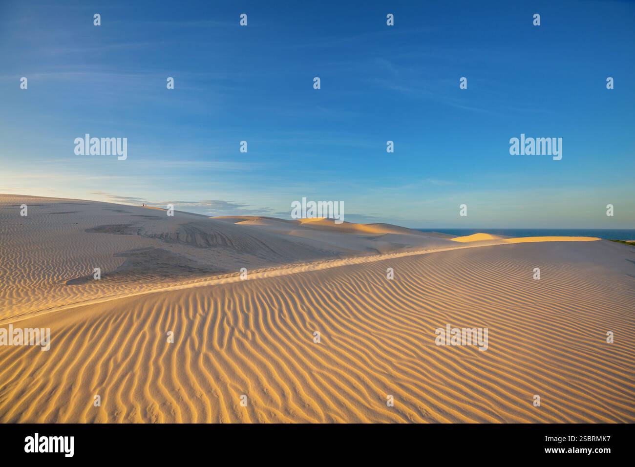 Sand dunes in northern Brazil at sunset Stock Photo - Alamy