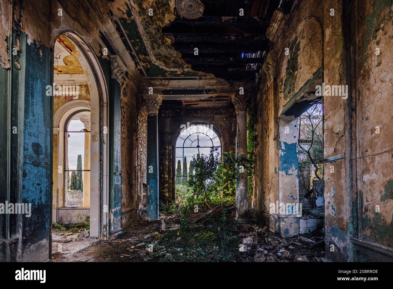Ruined abandoned building overgrown by plants and moss Stock Photo - Alamy