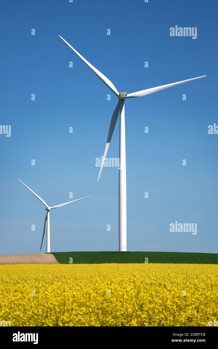 Clusy hi-res stock photography and images - Alamy