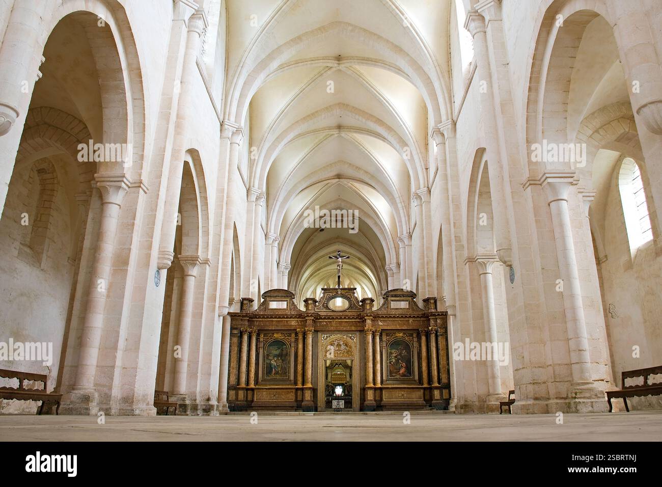 Nave of Pontigny Abbey, interior view, Burgundy, France Stock Photo - Alamy