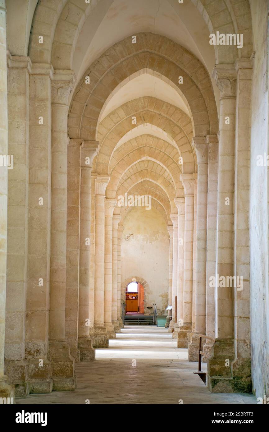 Nave of Pontigny Abbey, interior view, Burgundy, France Stock Photo - Alamy