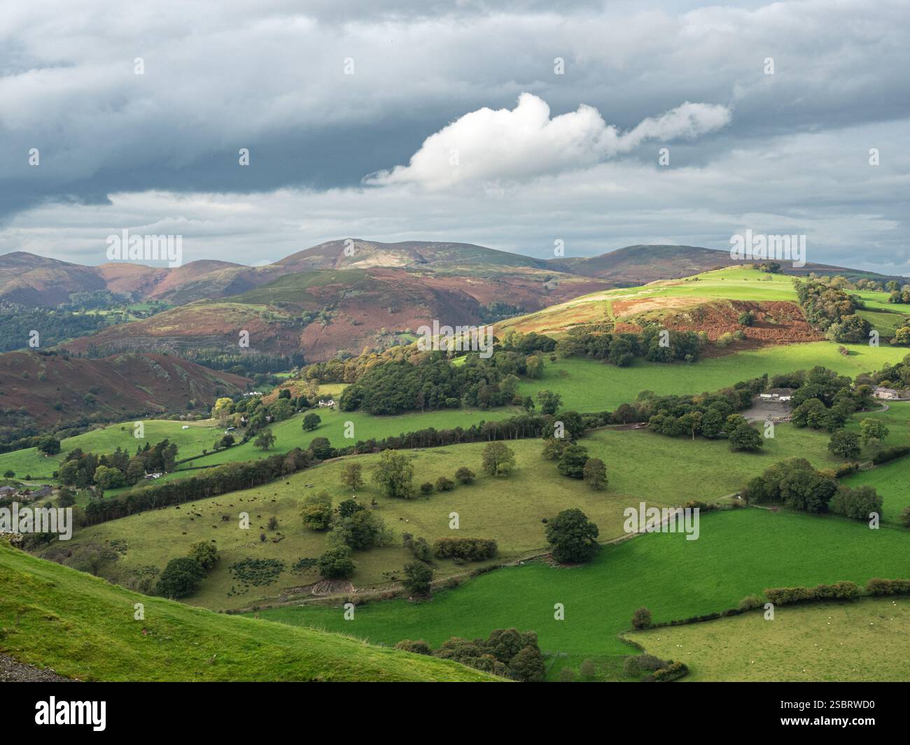 Scenically beautiful welsh landscape near Llangollen Stock Photo - Alamy