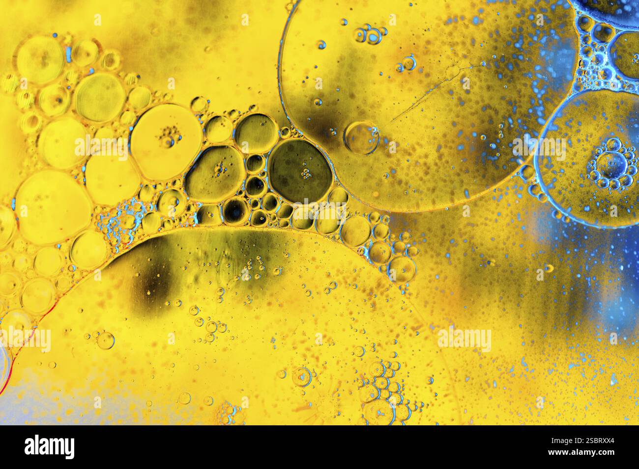 Oil bubbles inside water base form patterns Stock Photo - Alamy