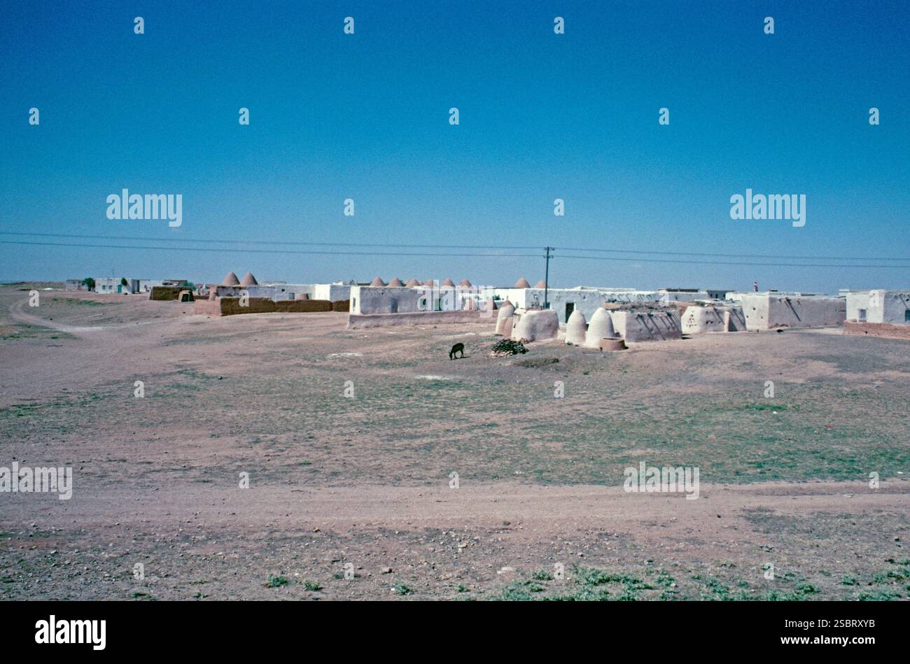 Village with Trulli houses, near Aleppo, North Syria, May 1987 Stock ...