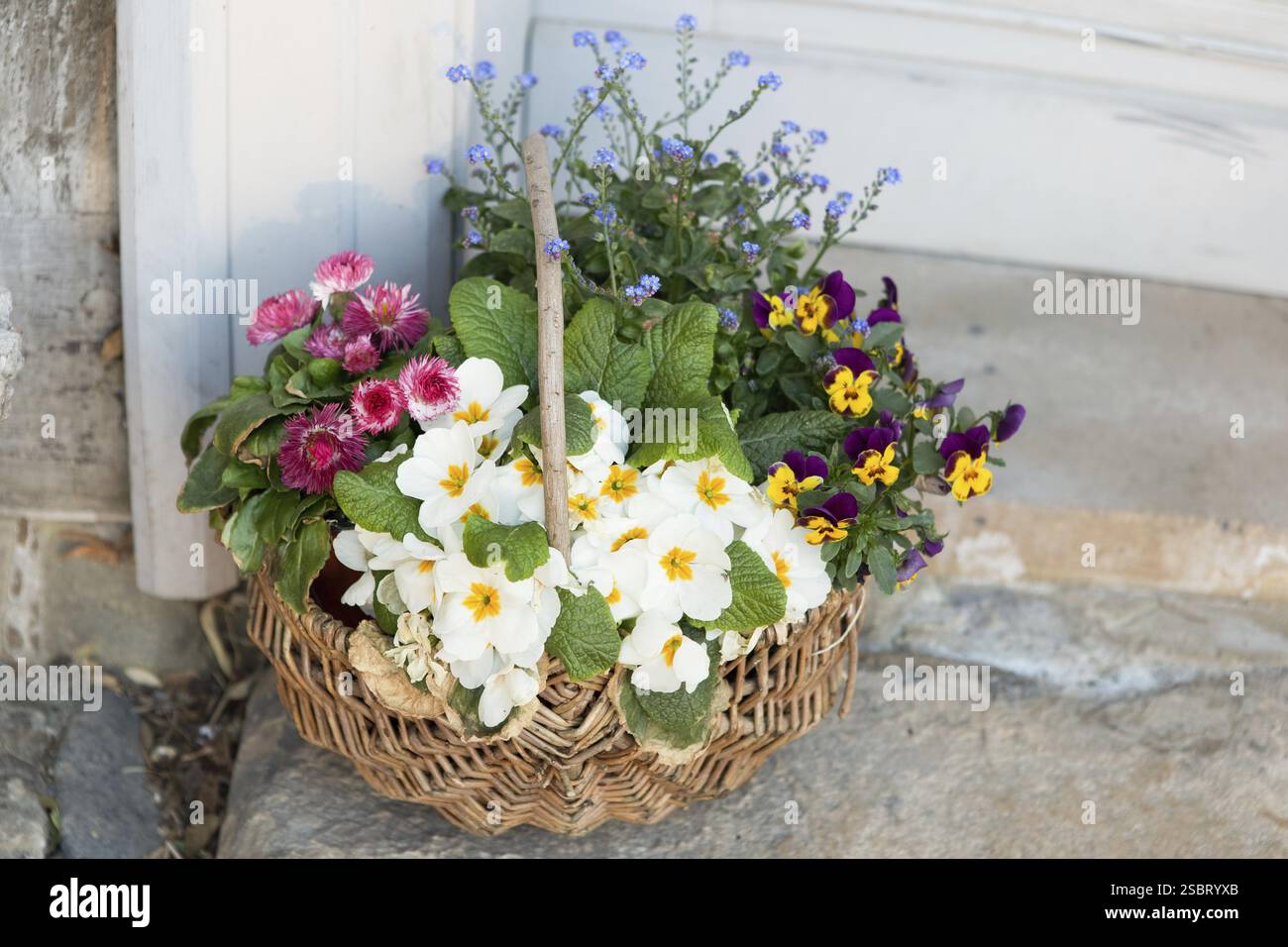 Beautiful flower basket for a holiday in the garden Stock Photo - Alamy