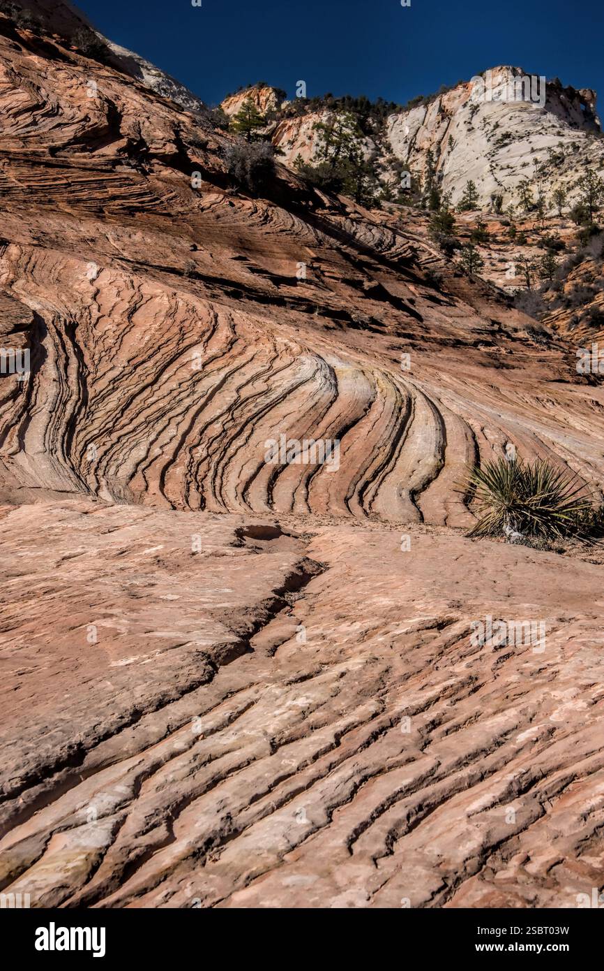 A rocky hillside with a mountain in the background. The hillside is ...
