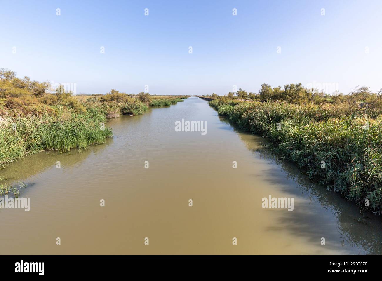 Drainage of boggy hi-res stock photography and images - Alamy