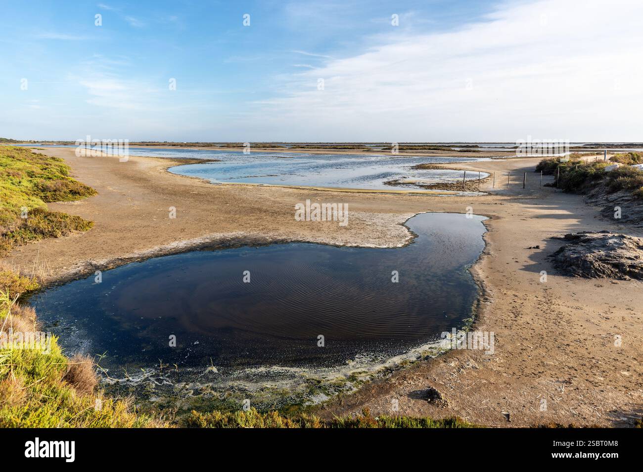 Salt water bodies on the edge of salt marshes in the Camargue plain ...