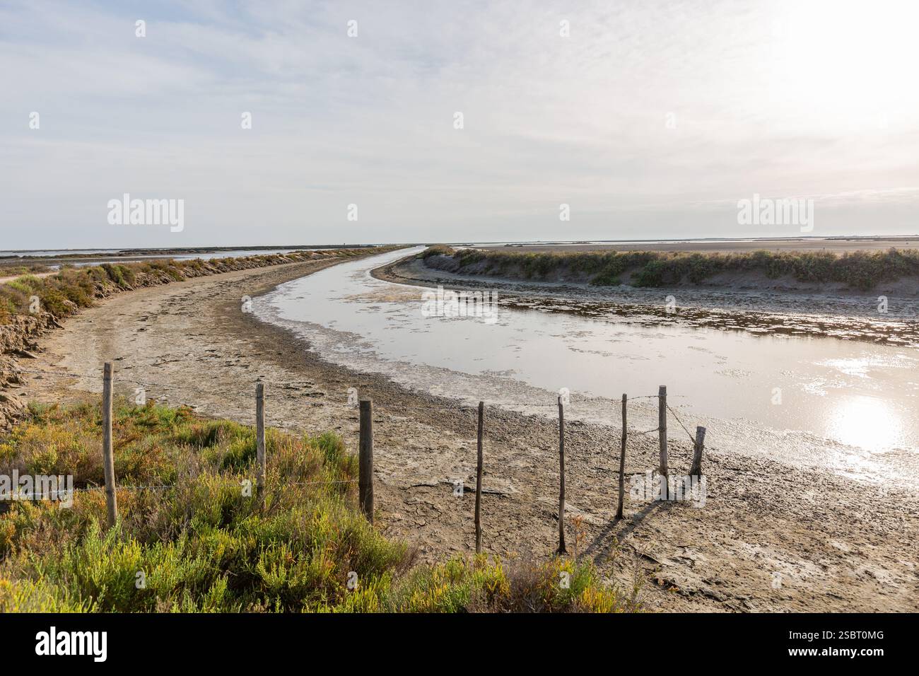 Salt water bodies on the edge of salt marshes in the Camargue plain ...