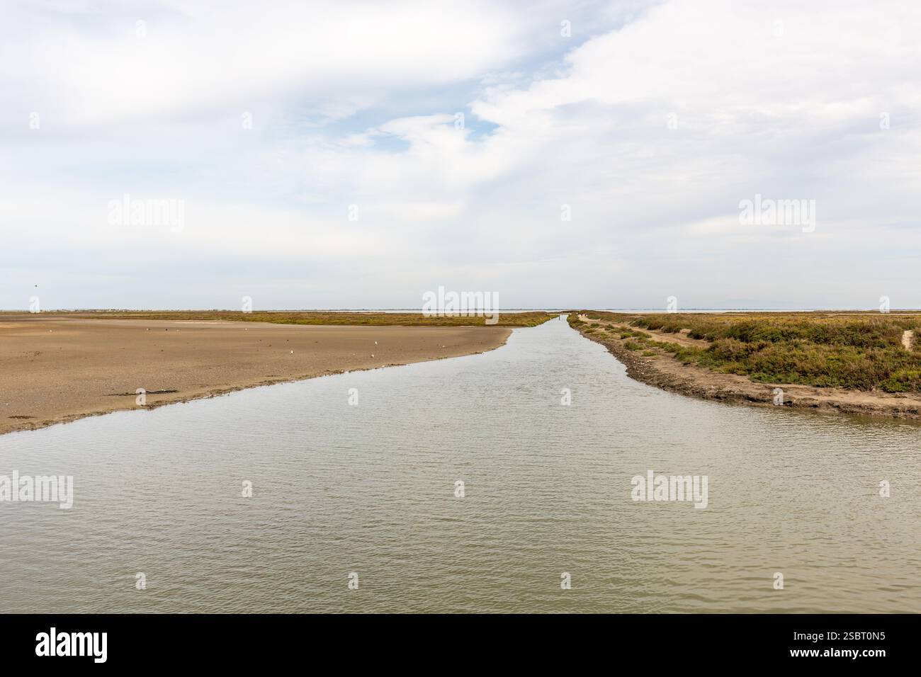 Large drainage channel in the Camargue plain Stock Photo - Alamy