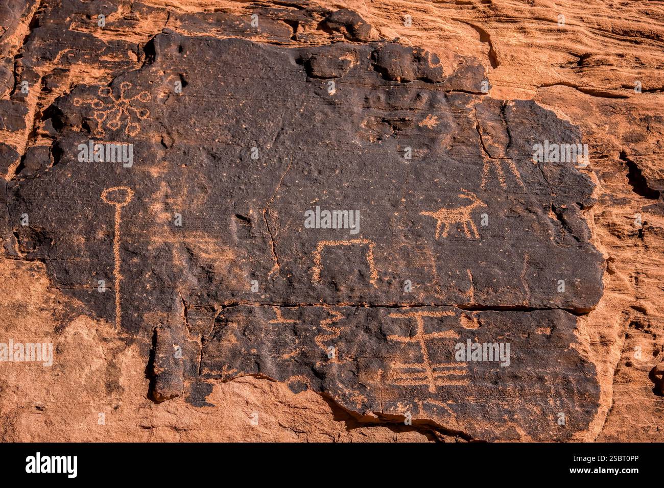 A rock with drawings on it. The drawings are of a dog and a person. The ...