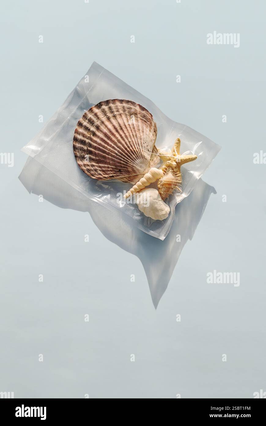 Seashells and starfish in vacuum plastic packing, showcasing of the ...