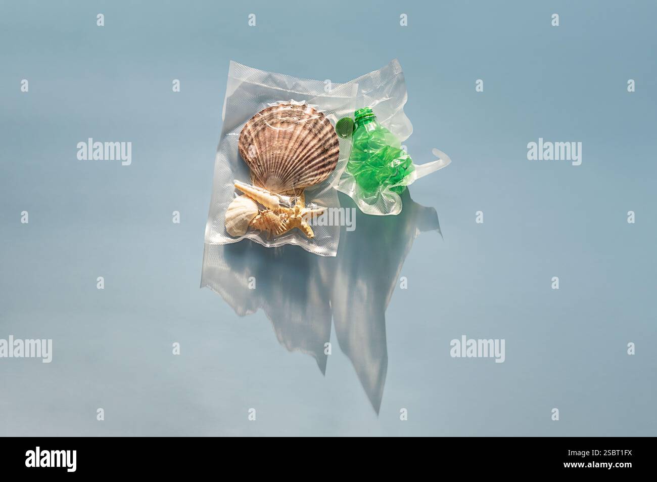 Sea shells and plastic bottle vacuum-sealed pack. Nature vs plastic ...