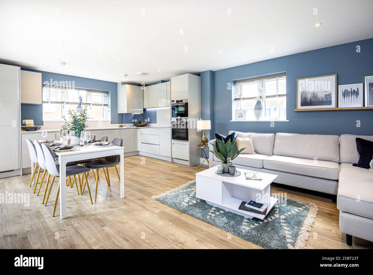 Residential developer home interior Stock Photo - Alamy