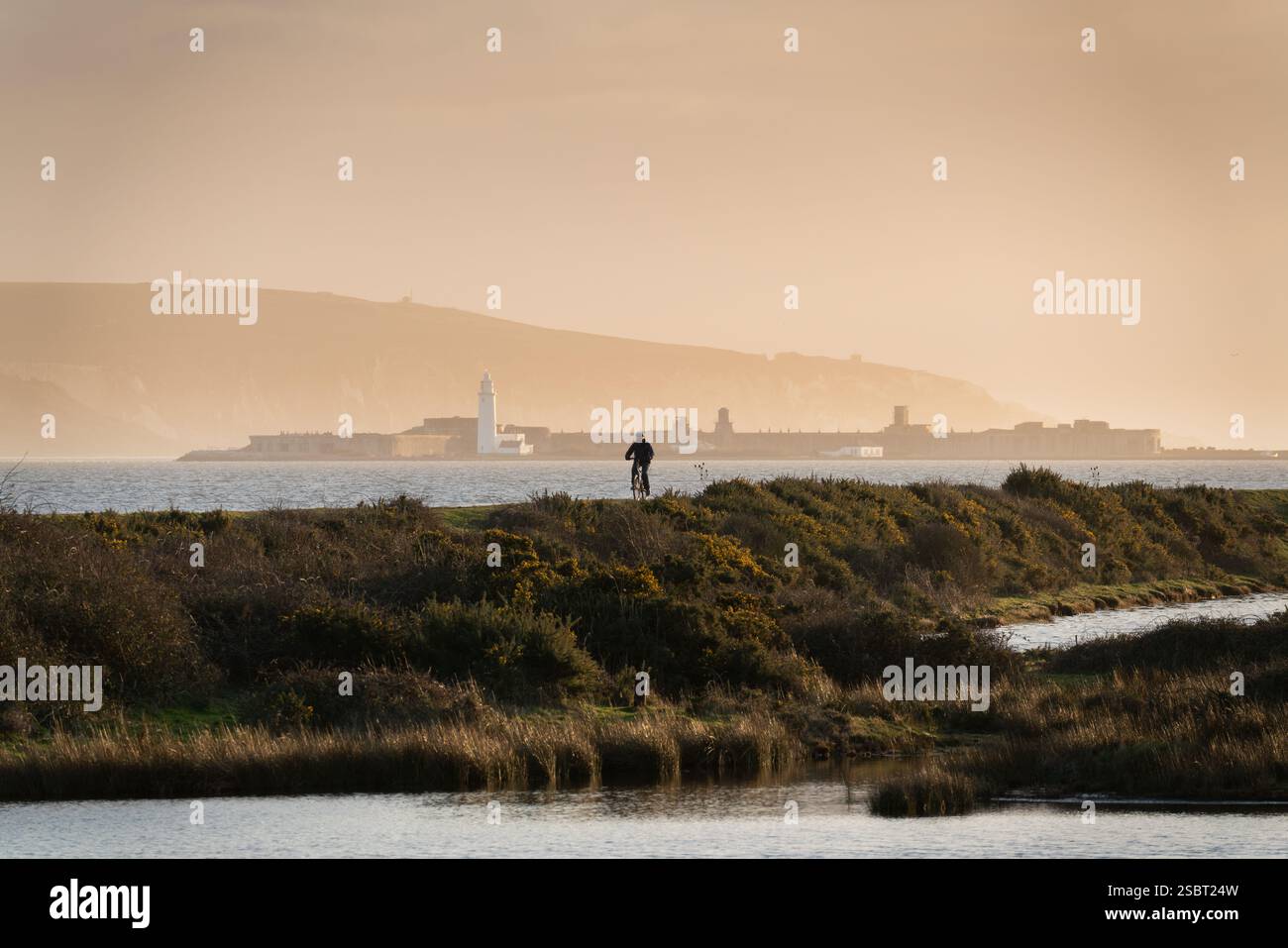 The sea wall between Lymington and Hurst Castle provides a haven for ...