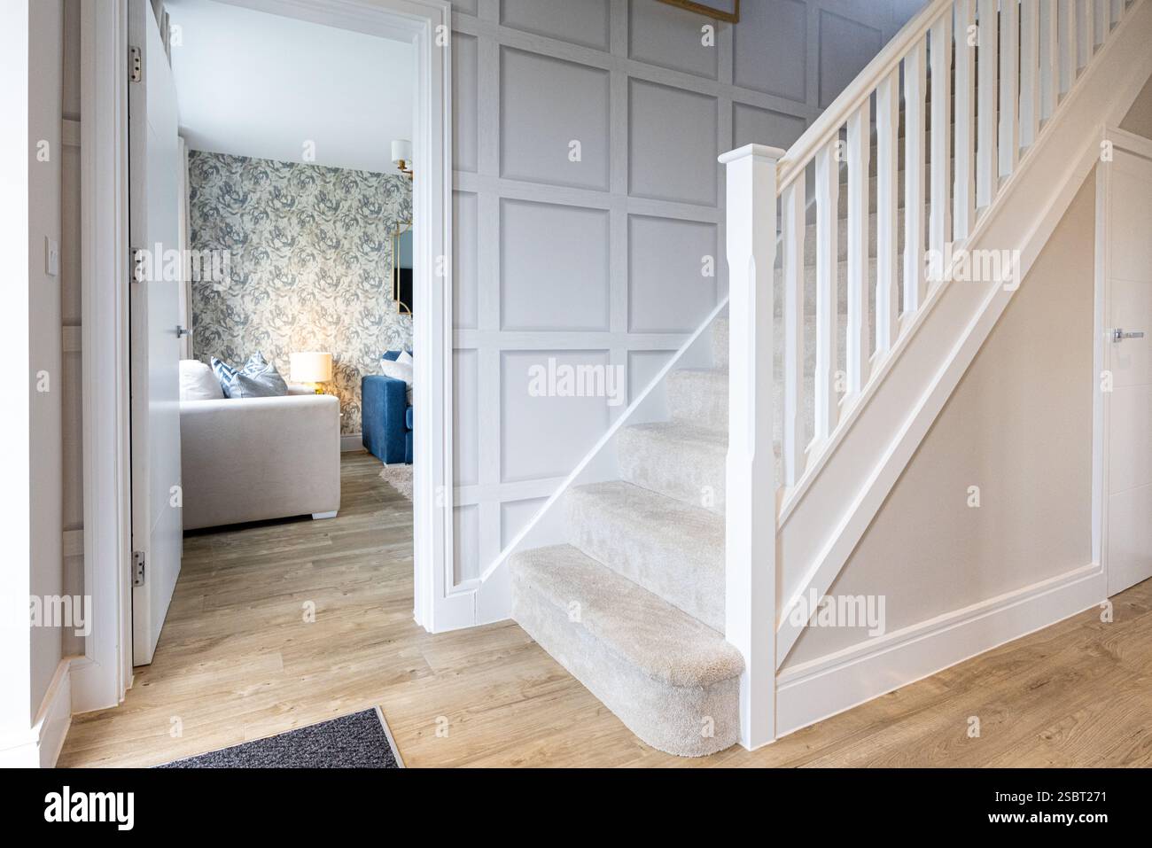 Residential developer home interior Stock Photo - Alamy
