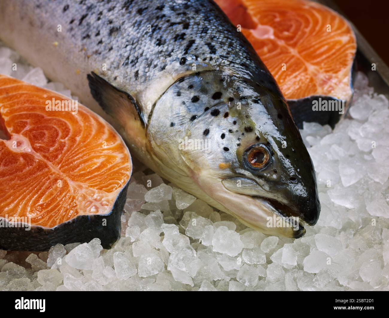Fresh red fish on ice Stock Photo - Alamy