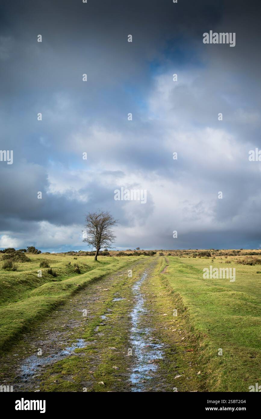 The old disused railway track on the wild windswept Craddock Moor on ...