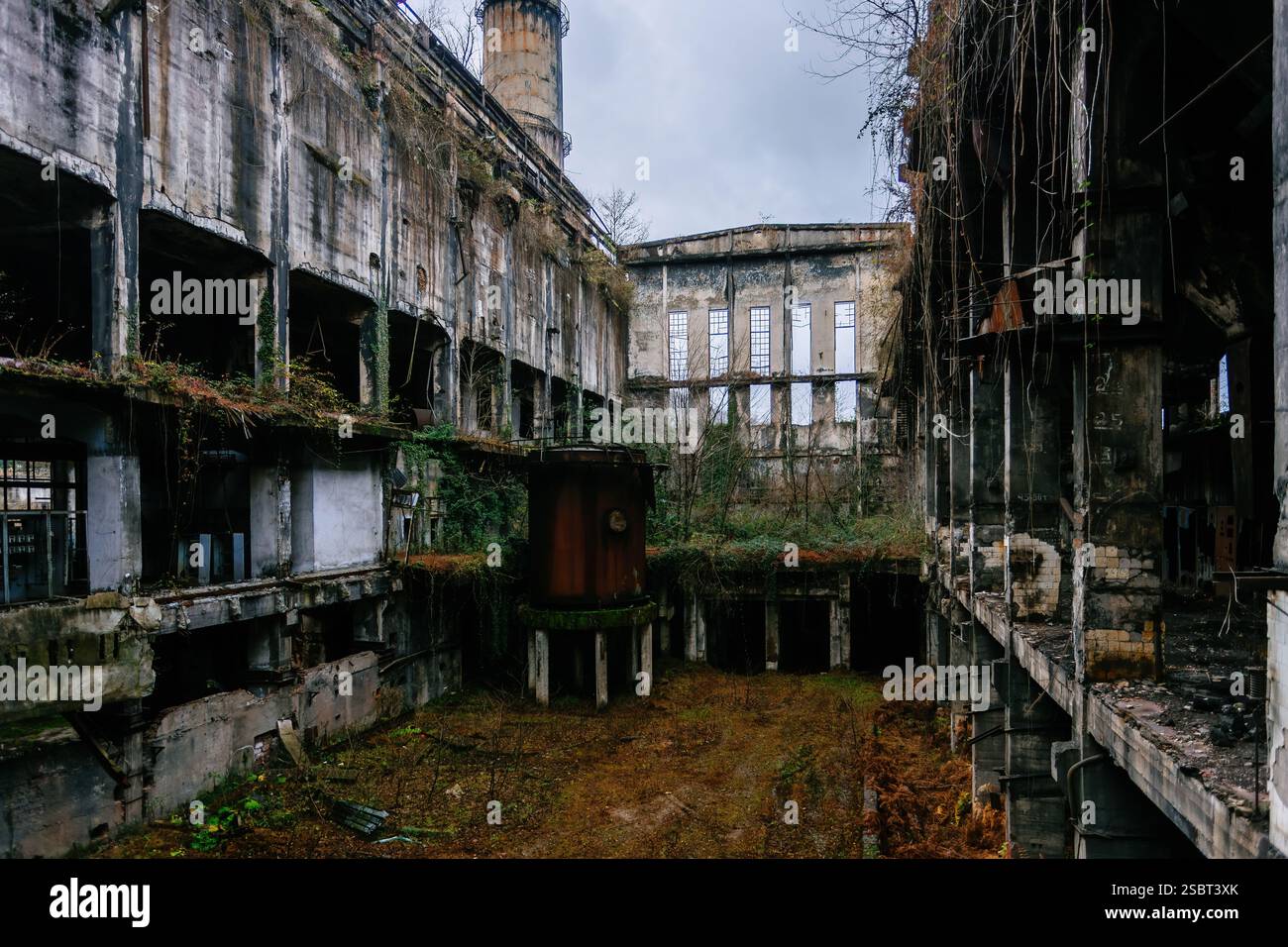 Overgrown ruins of industrial building. Abandoned, destroyed by war ...