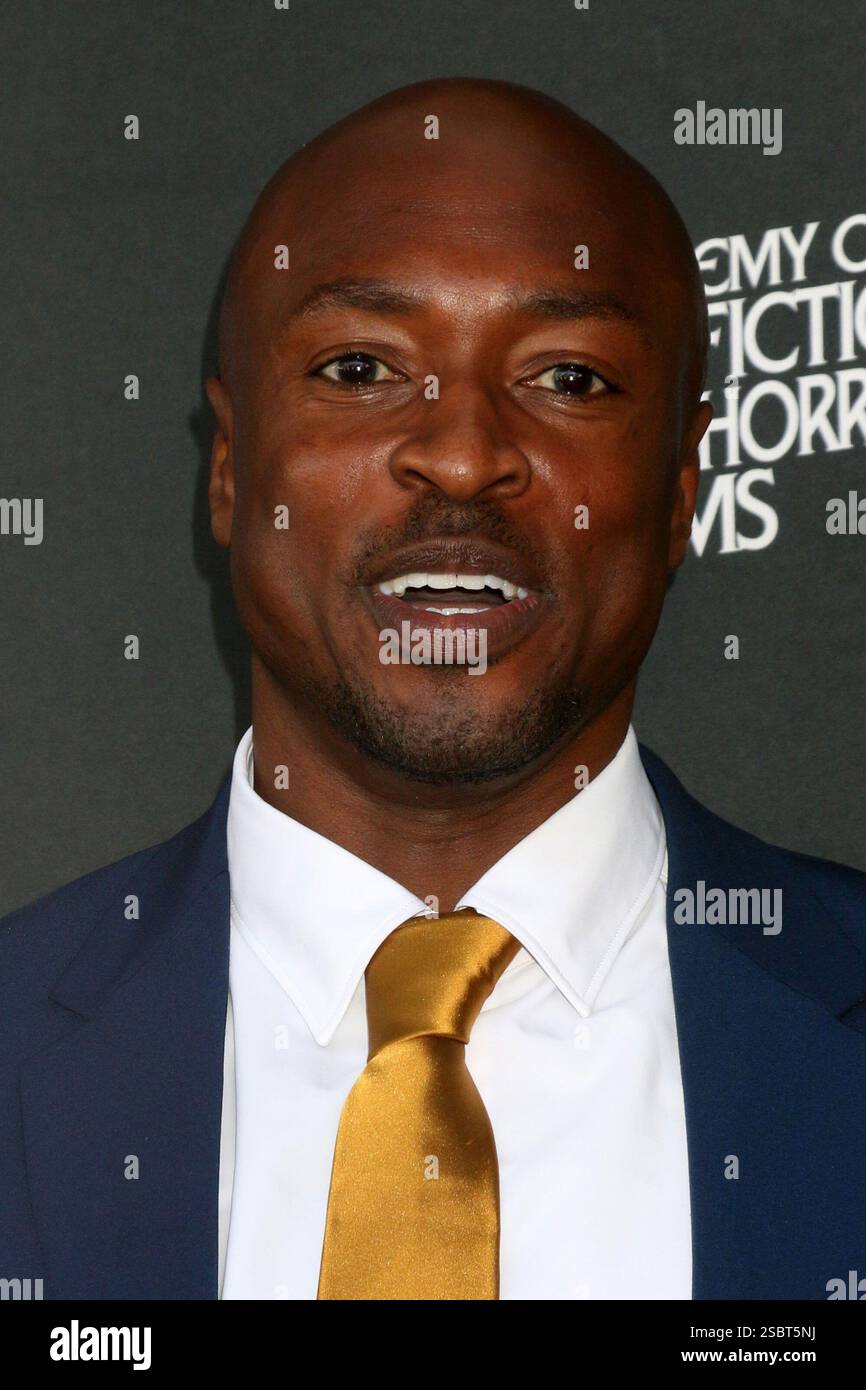 Ca. 02nd Feb, 2025. Wole Parks at arrivals for 52nd Annual Saturn ...