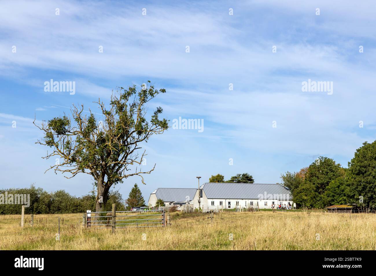 Country road among fields and forests. Rural landscape. High quality ...