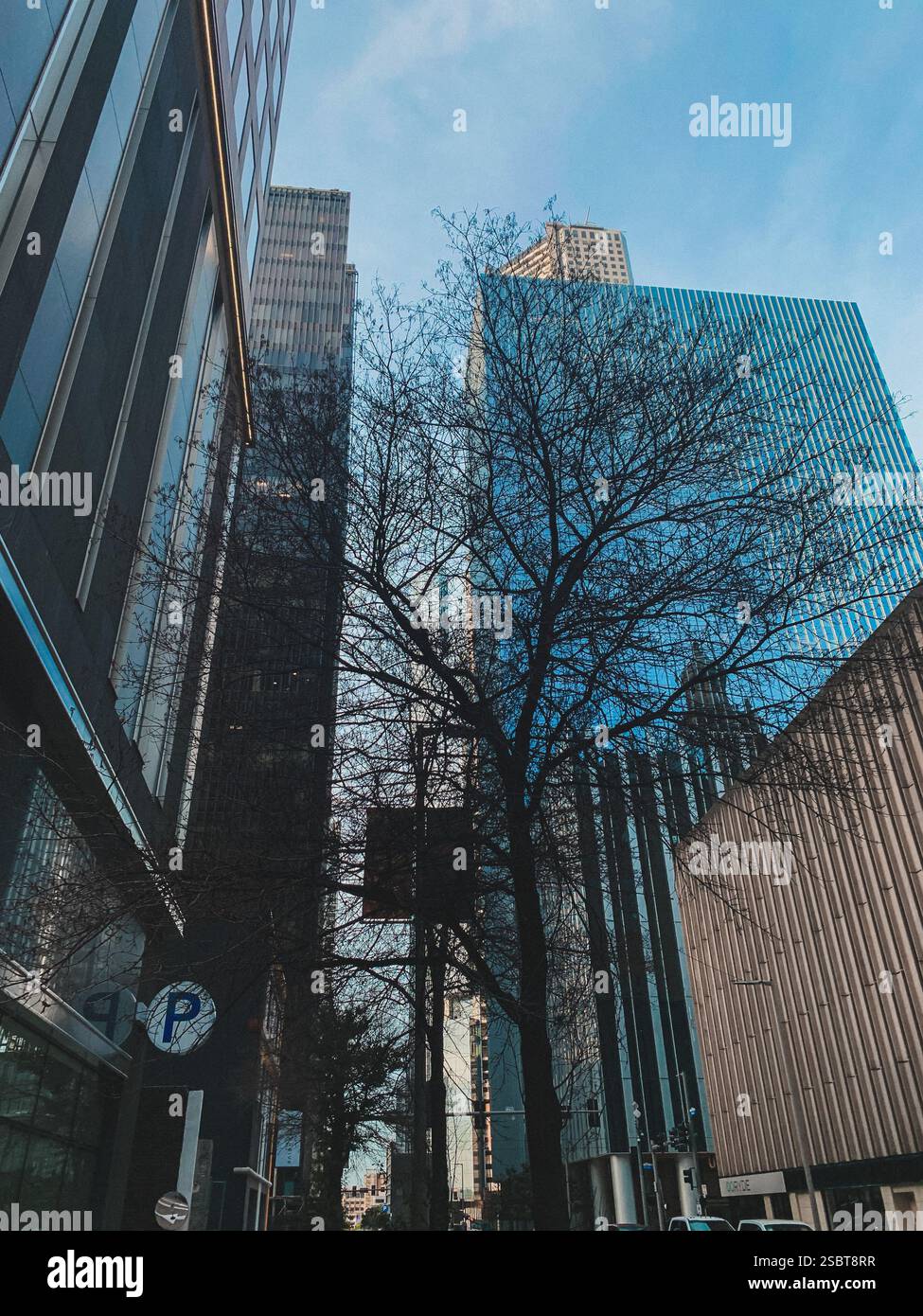 Downtown Houston Texas Stock Photo - Alamy