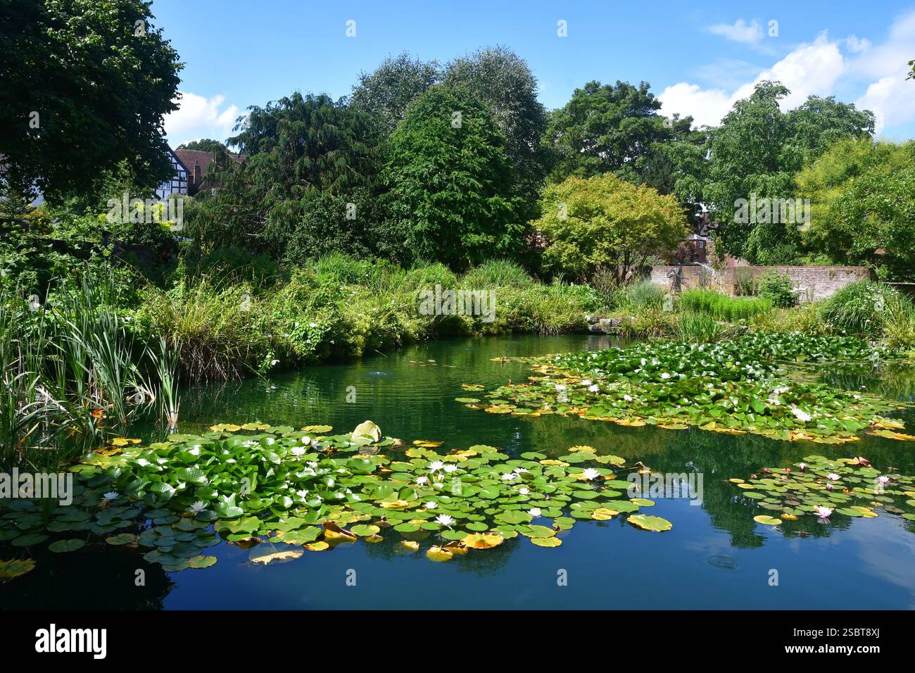 Pond at Bewdley Museum, Bewdley, Worcestershire, UK Stock Photo - Alamy
