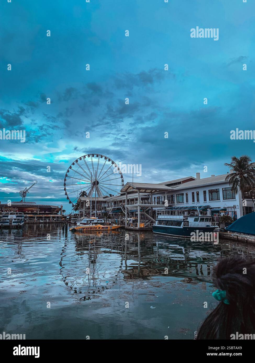 The miami wheel hi-res stock photography and images - Alamy