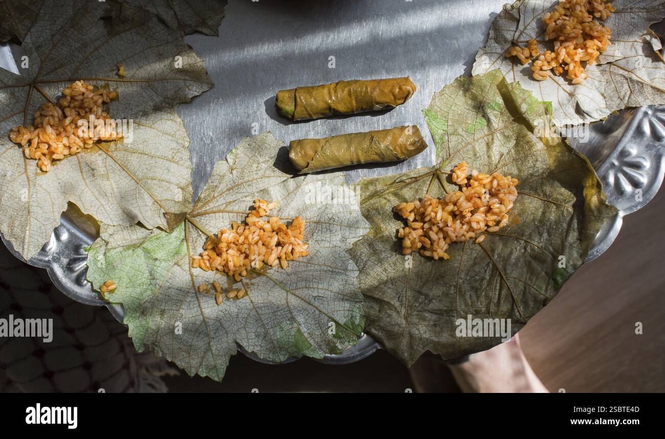 Making stuffed grape leaves in Turkish style as delicious dish Stock ...