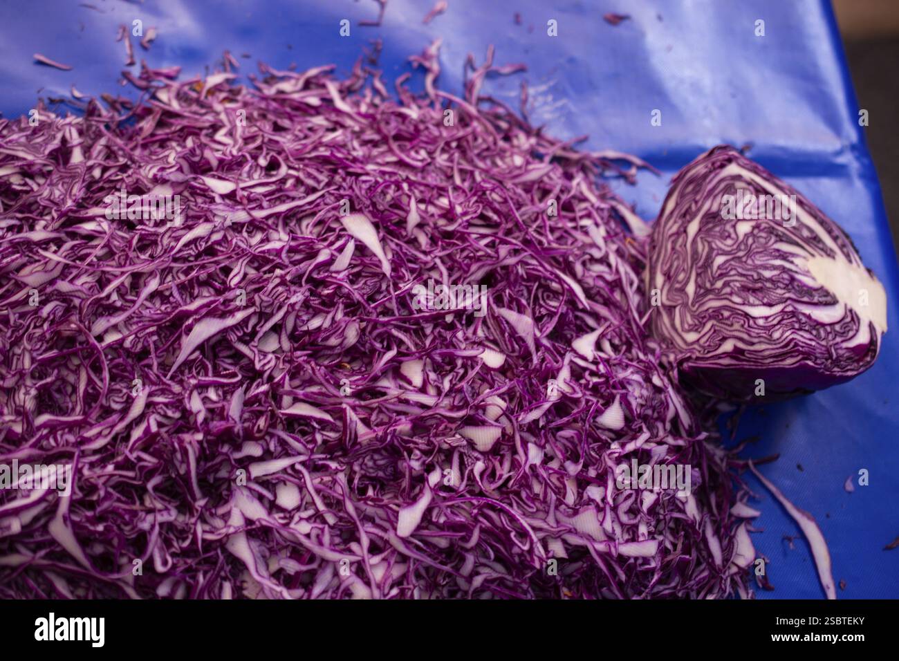 Grated ed cabbages in a supermarket, Cabbage background Stock Photo - Alamy