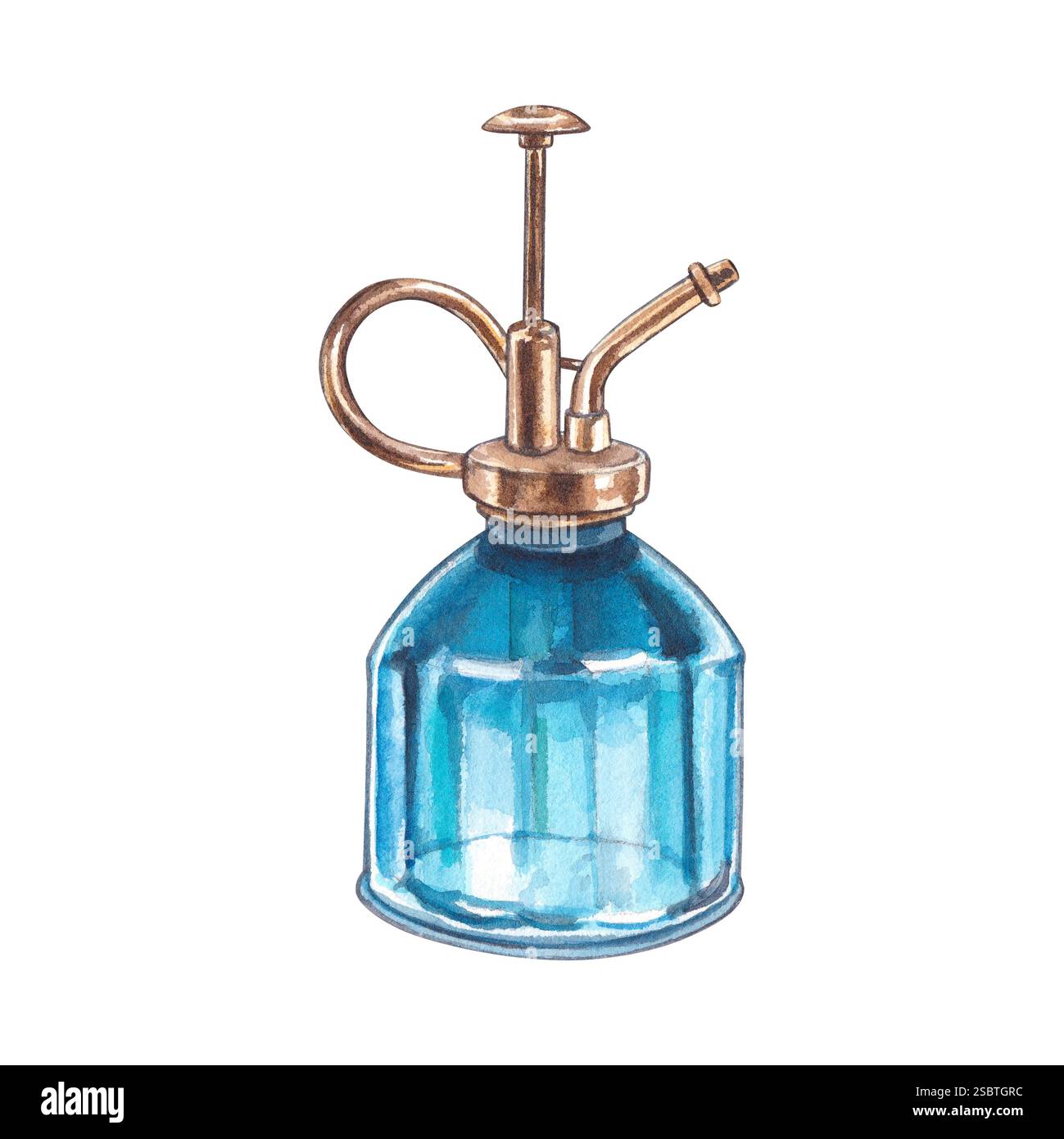 Sprayer homeplants. Watercolor hand drawn illustration glass atomizer ...