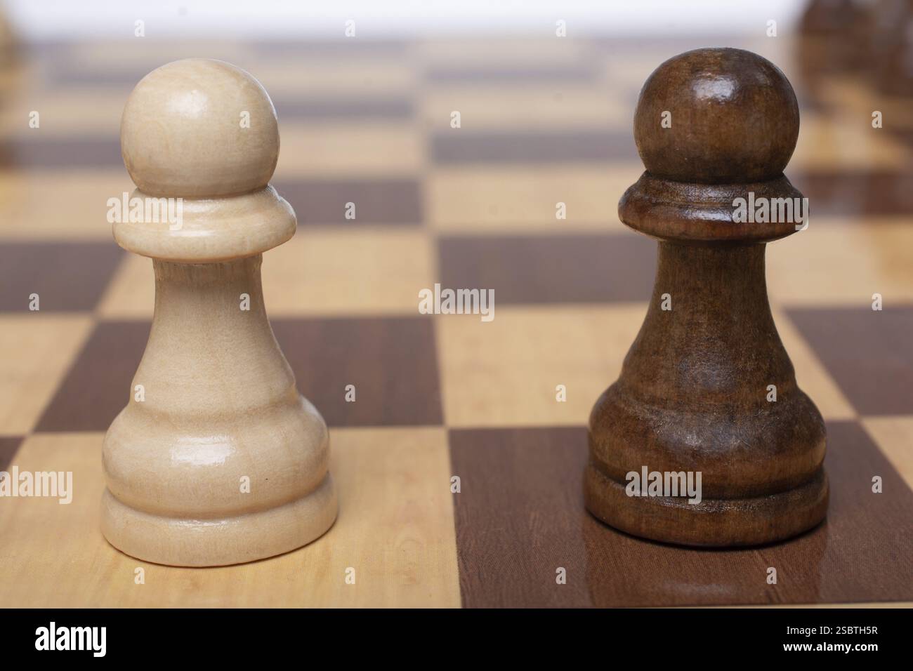 Intellectual game -chess. Wooden chess pieces on the chessboard Stock ...