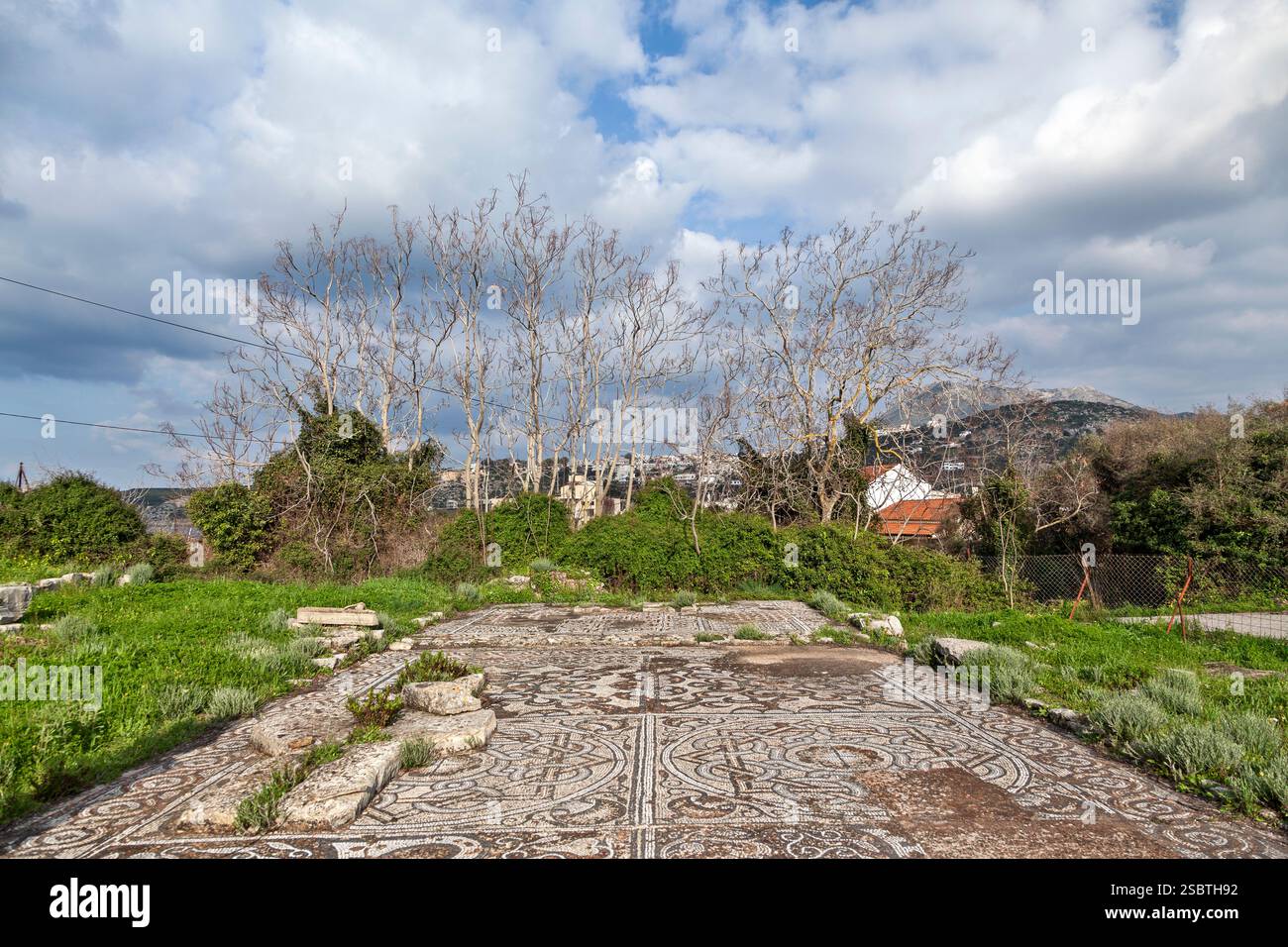 Amazing colorful mosaics at the basilica of Almyrida, of the early ...