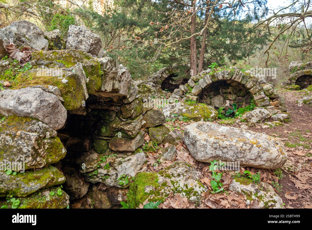 Venetian stone wells, covered in moss, hidden in a lush Greek forest ...