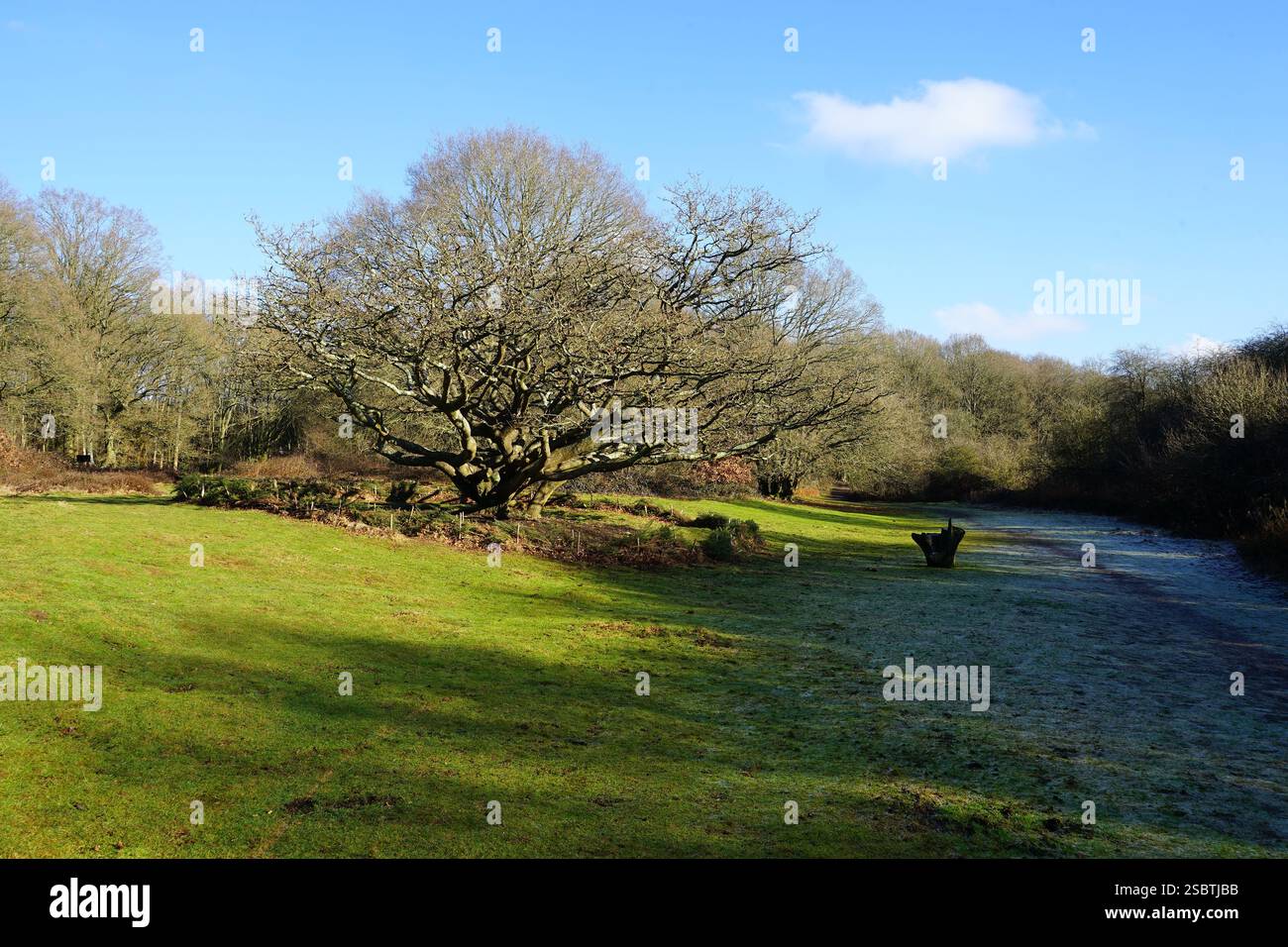 Nomansland hi-res stock photography and images - Alamy