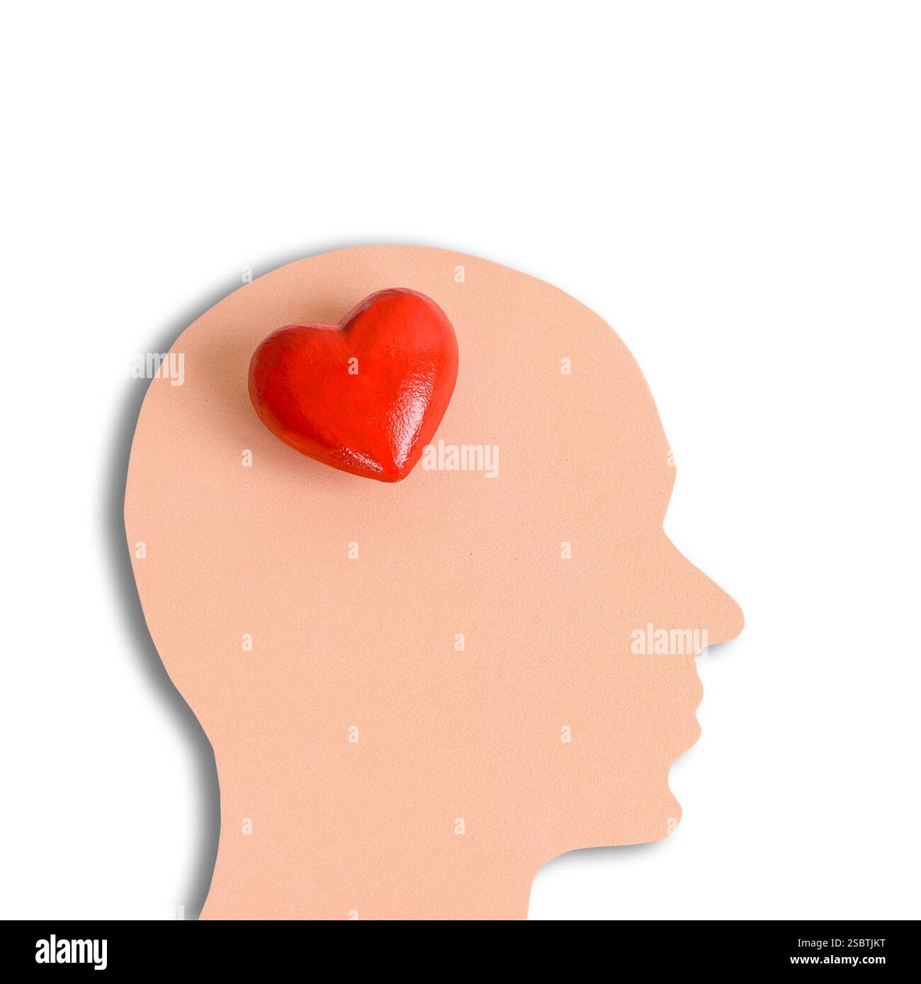 The head of a man with a heart inside on a light background. The ...