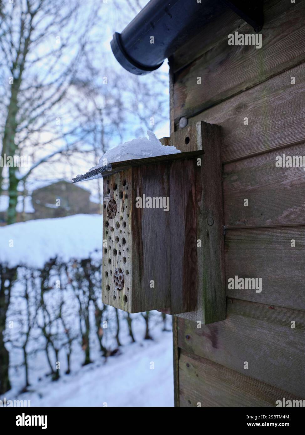January and overnight snow caps the bug hotels on the Yorkshire ...