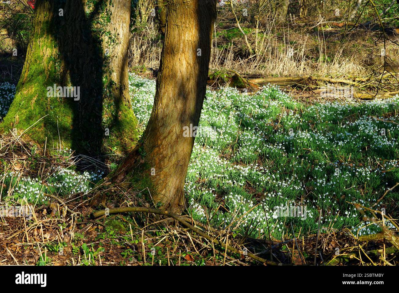 Batford hi-res stock photography and images - Alamy