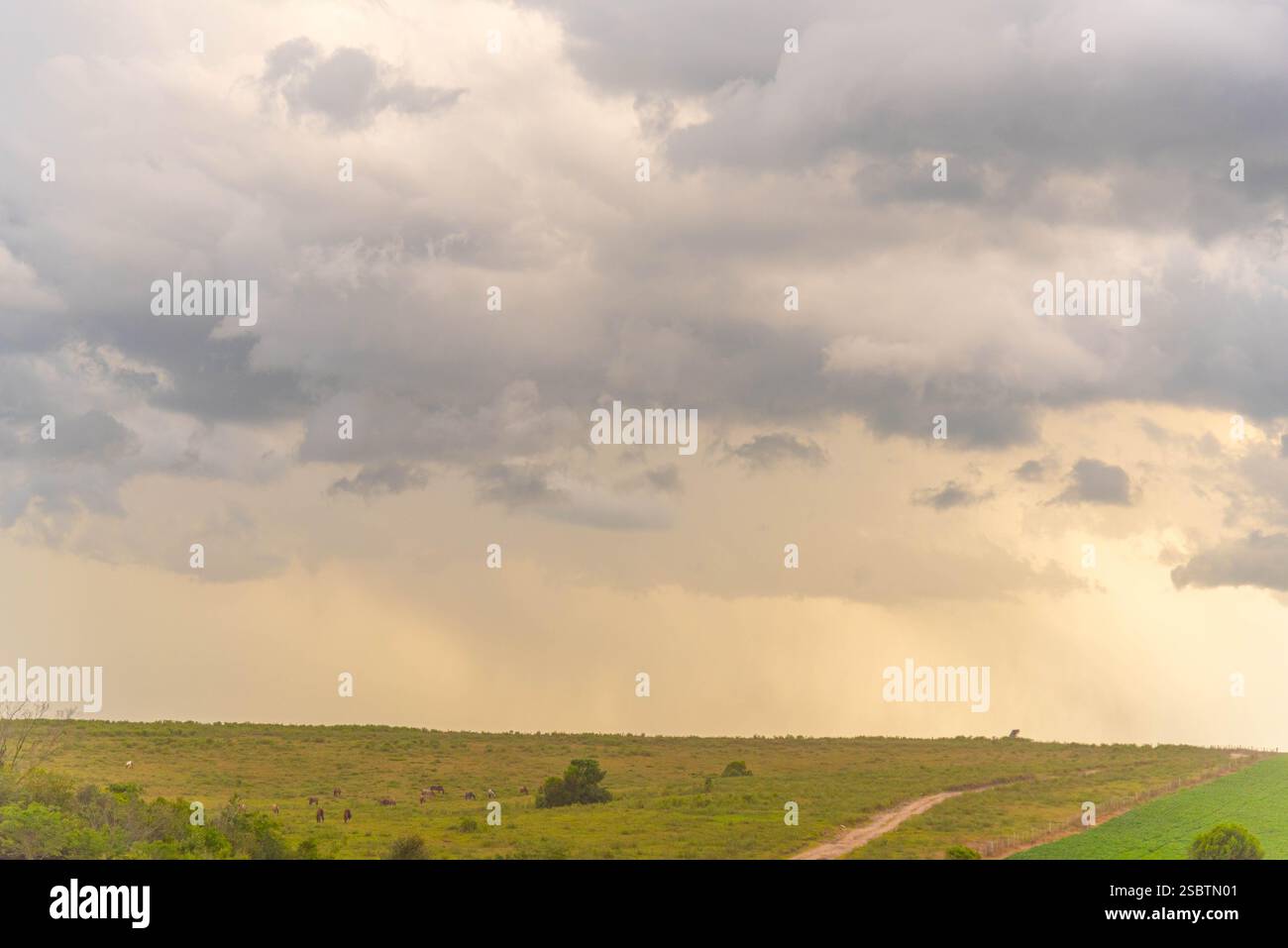 Agricultural fields of the pampa biome in southern Brazil Stock Photo ...