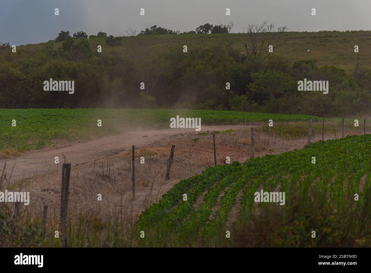 Agricultural fields of the pampa biome in southern Brazil Stock Photo ...