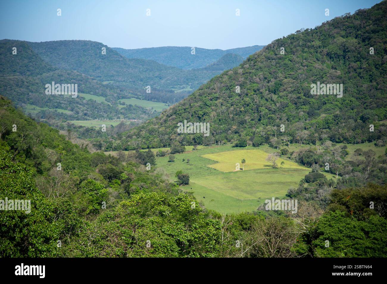 Atlantic forest reserve in itaara rs brazil Stock Photo - Alamy
